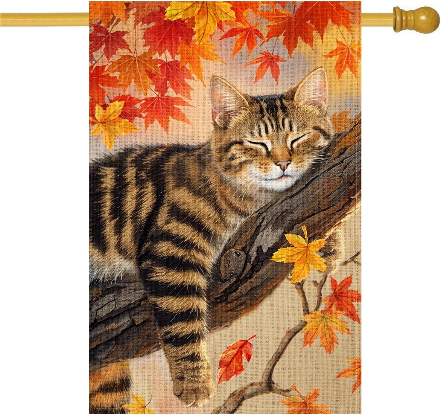 Amazon.com : Npcswxq Fall Cat Garden Flag 12x18 Inch Small Double Sided ...
