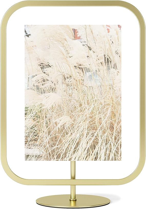 Amazon.com: Umbra Infinity Picture Frame, Floating Photo Display for ...