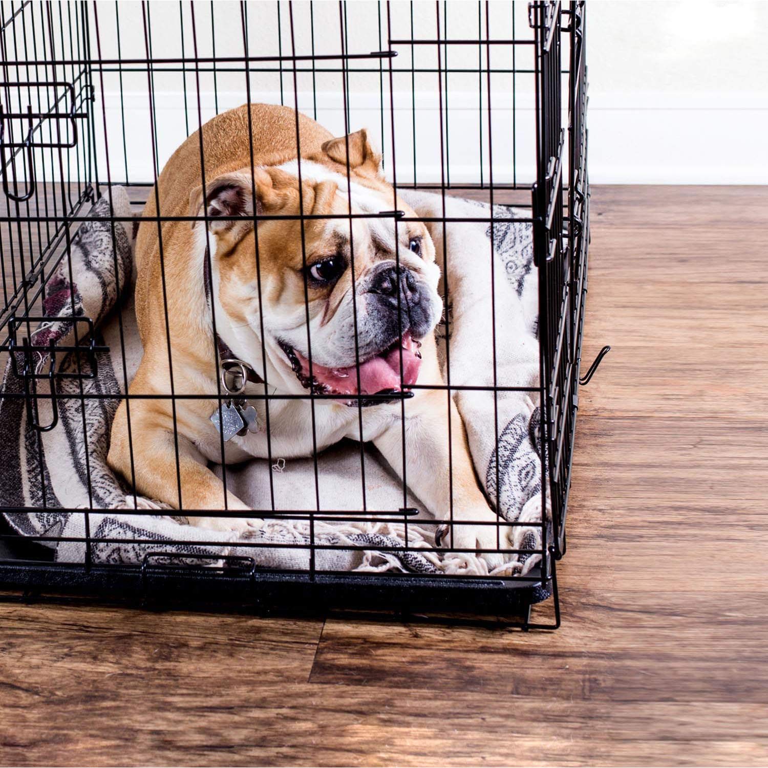 What Size Cage For American Bulldog