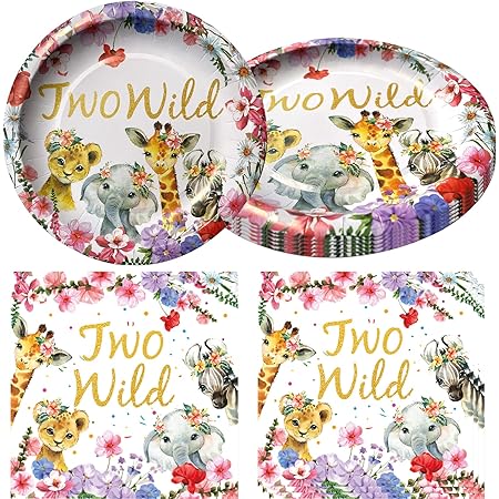 Amazon.com: APOWBLS Two Wild Birthday Plates And Napkins Party Supplies ...