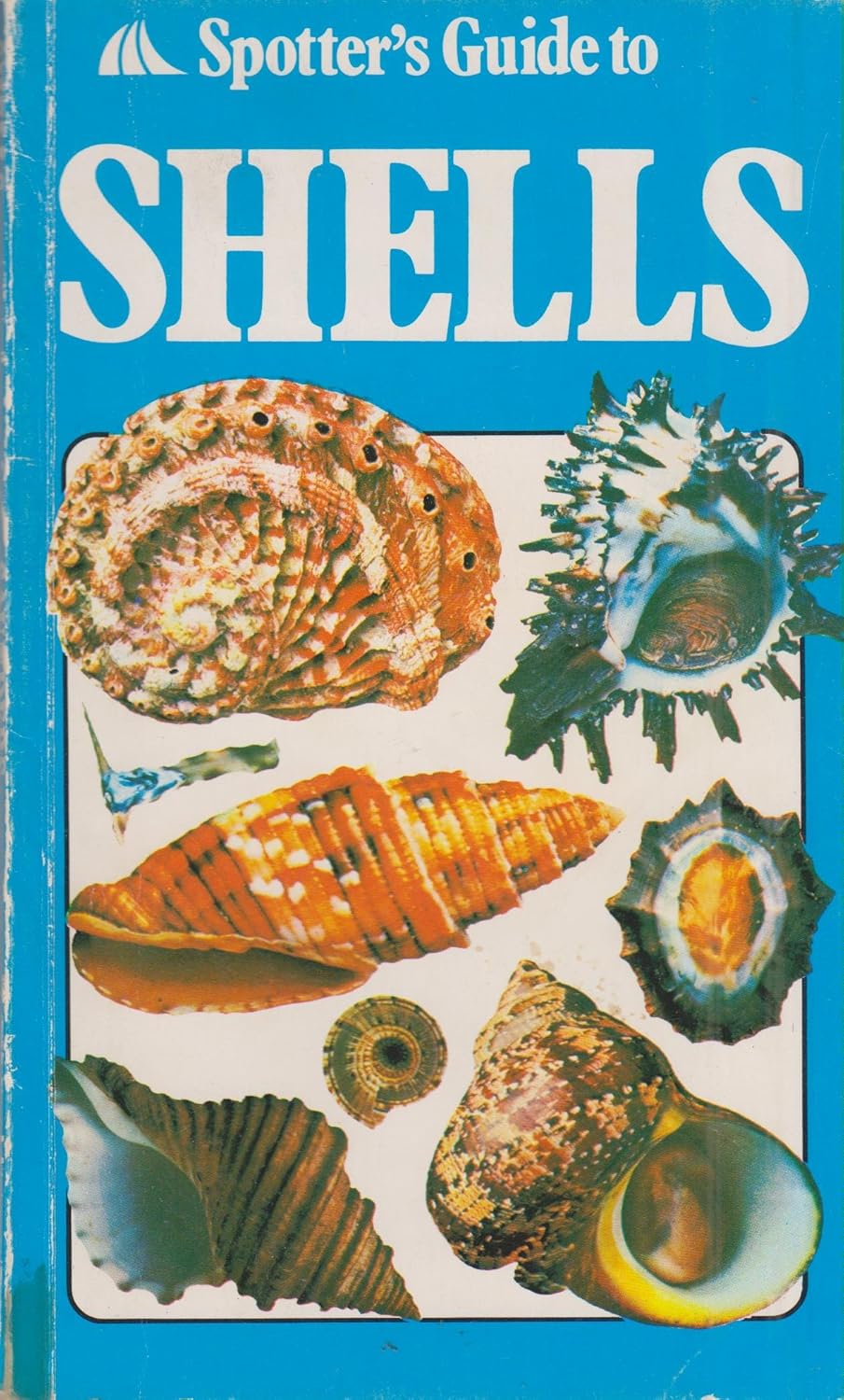 Spotter's Guide to Shells: An Introduction to Seashells of the World ...