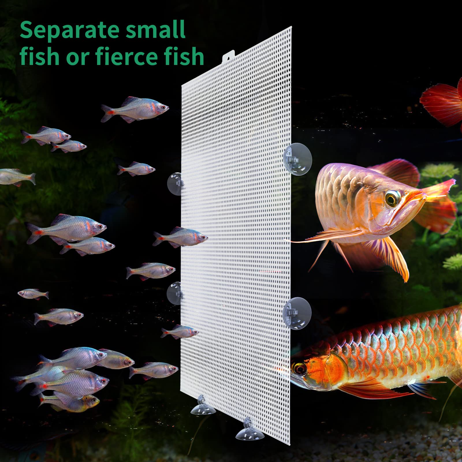 Snapklik.com : 2 Pack Fish Tank Divider, Plastic Grid Cuttable Grid ...