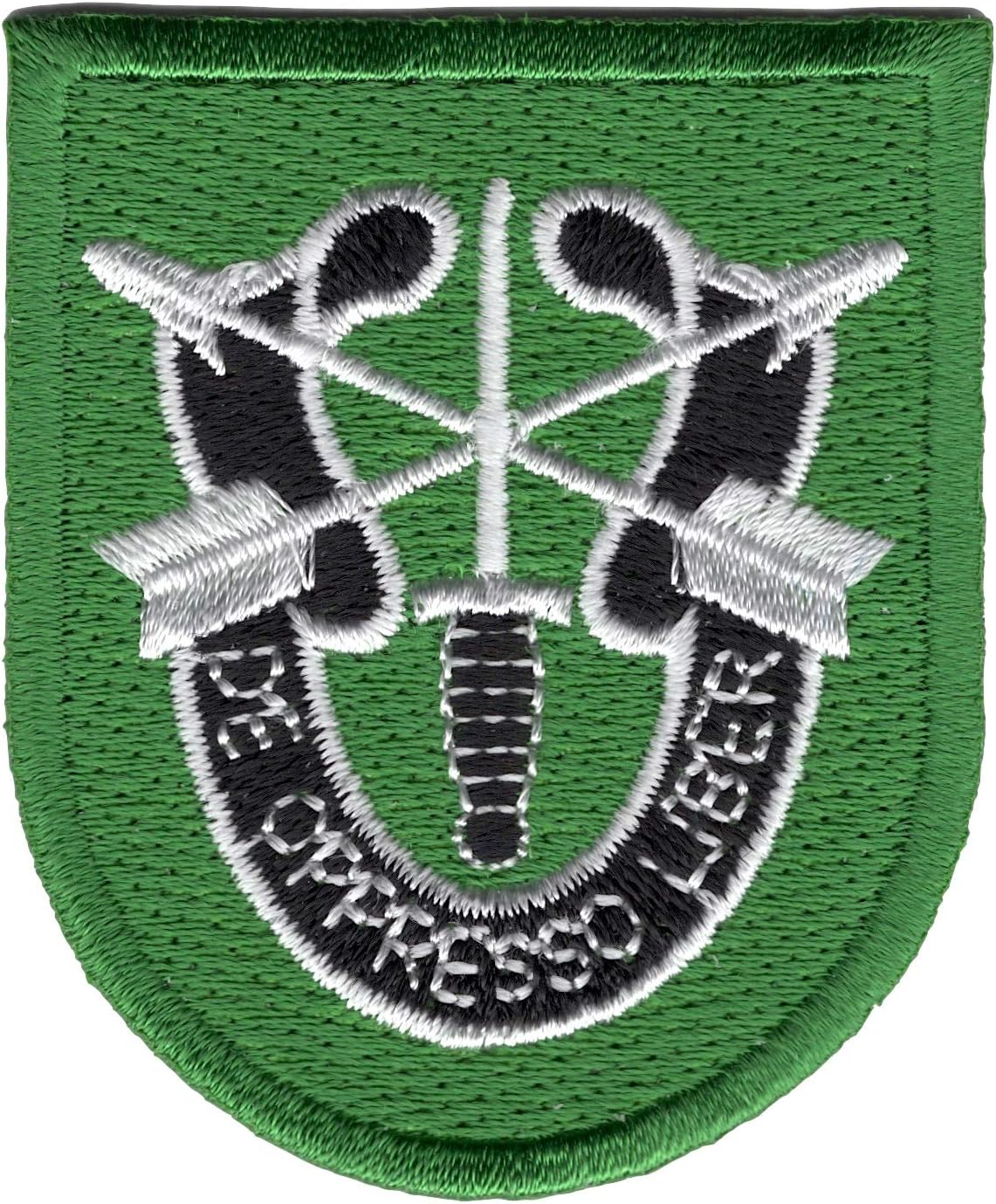 Amazon.com: 10th Special Forces Group Flash Patch with Crest : Clothing ...