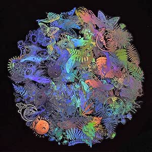 Amazon.com: 225Pcs Colorful Foil Shiny Resin Stickers Holographic ...