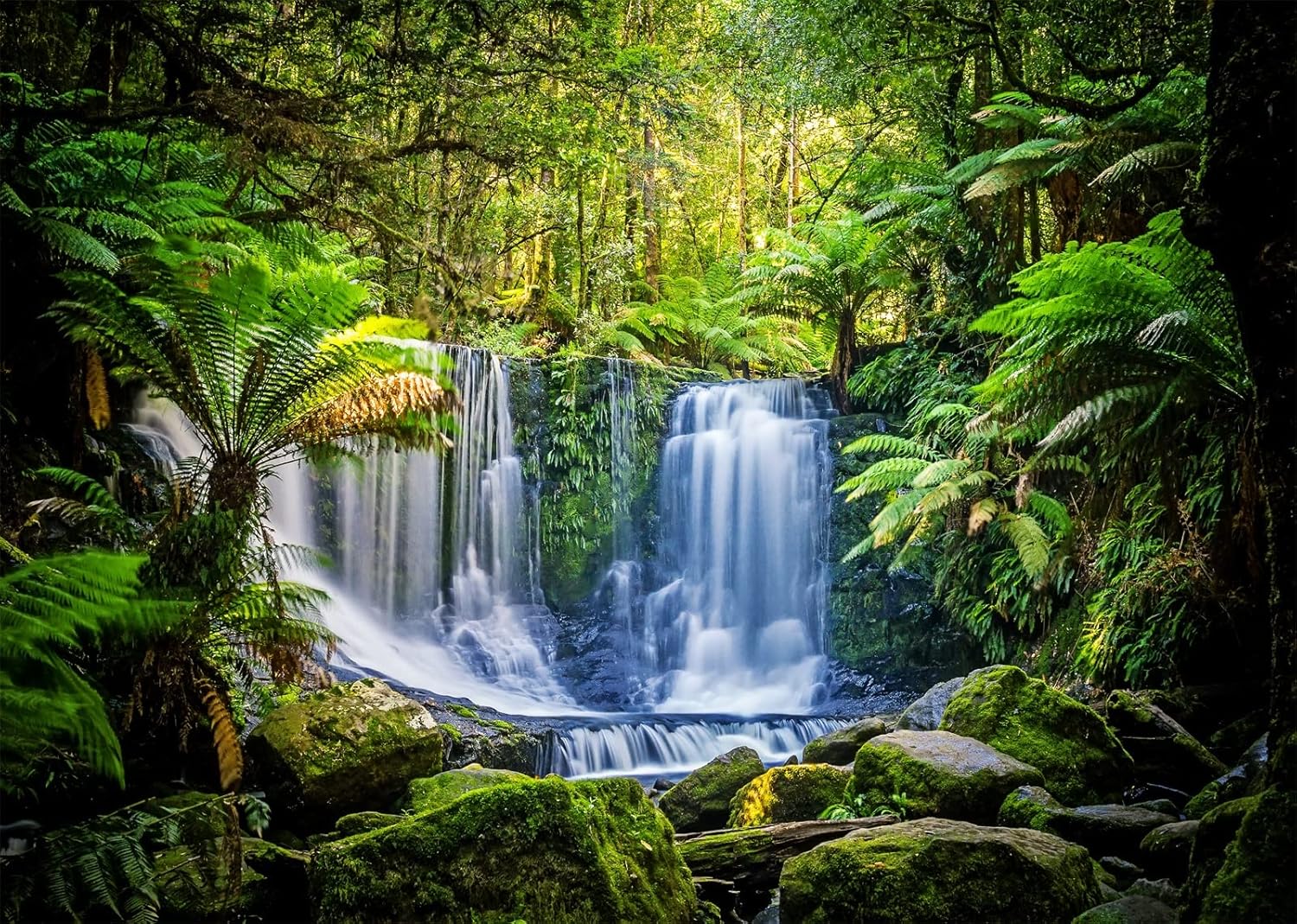 Amazon.com : BELECO 10x80ft Fabric Jungel Forest Waterfall Photography ...