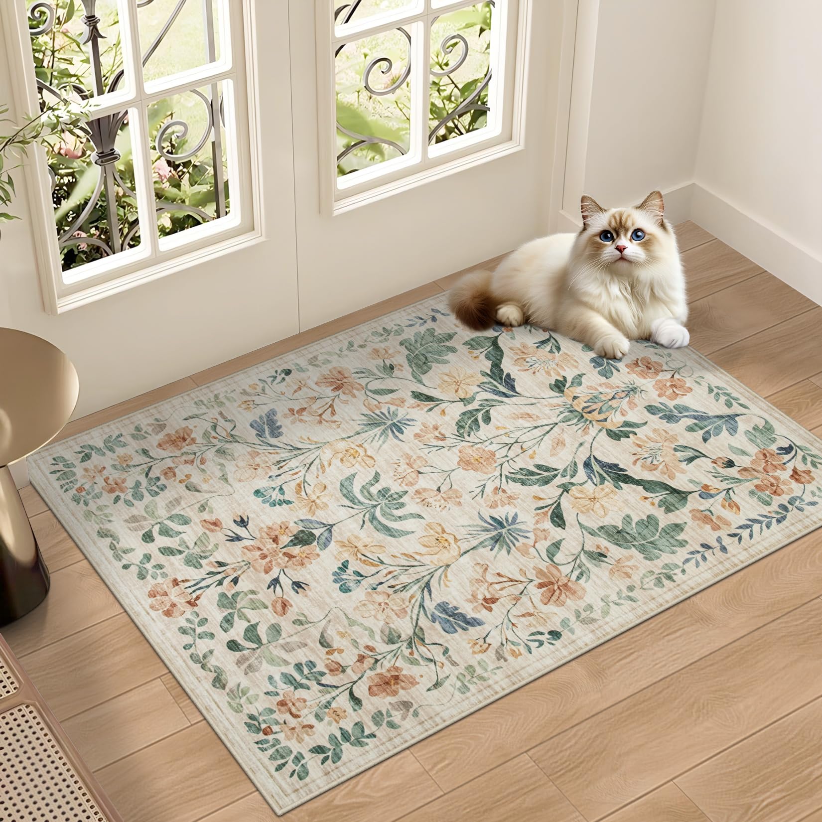 Amazon.com: Machine Washable Area Rugs 2x3: Small Entryway Rug Soft ...