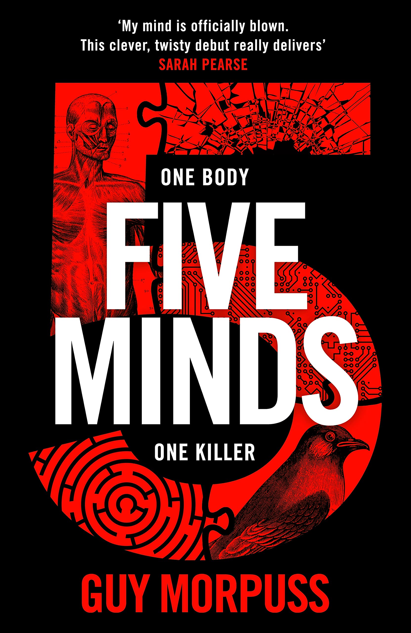 Five Minds: A Financial Times Book of the Year: Guy Morpuss ...