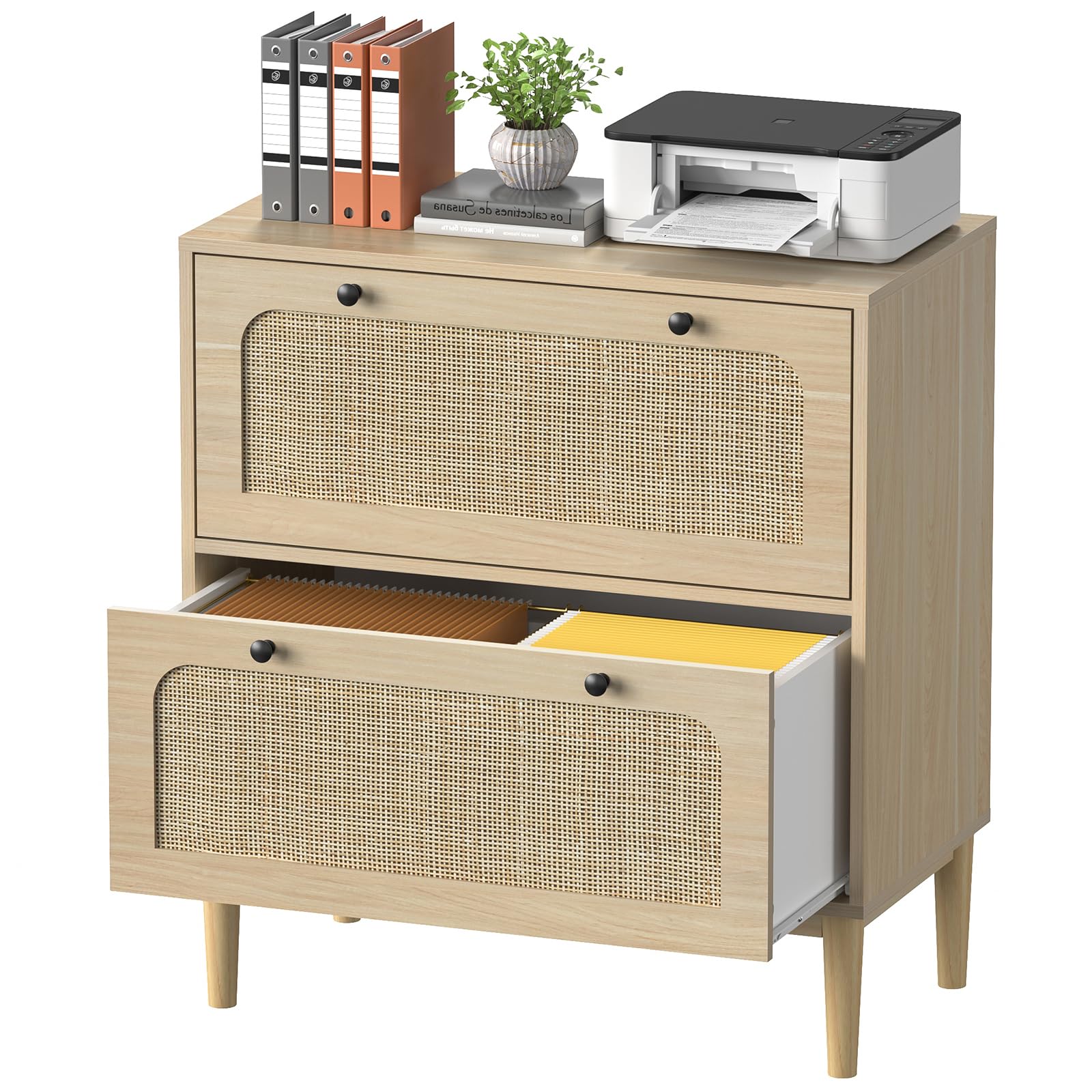 Anmytek Lateral File Cabinet with 2 Drawers, Rattan Filing Cabinet with ...