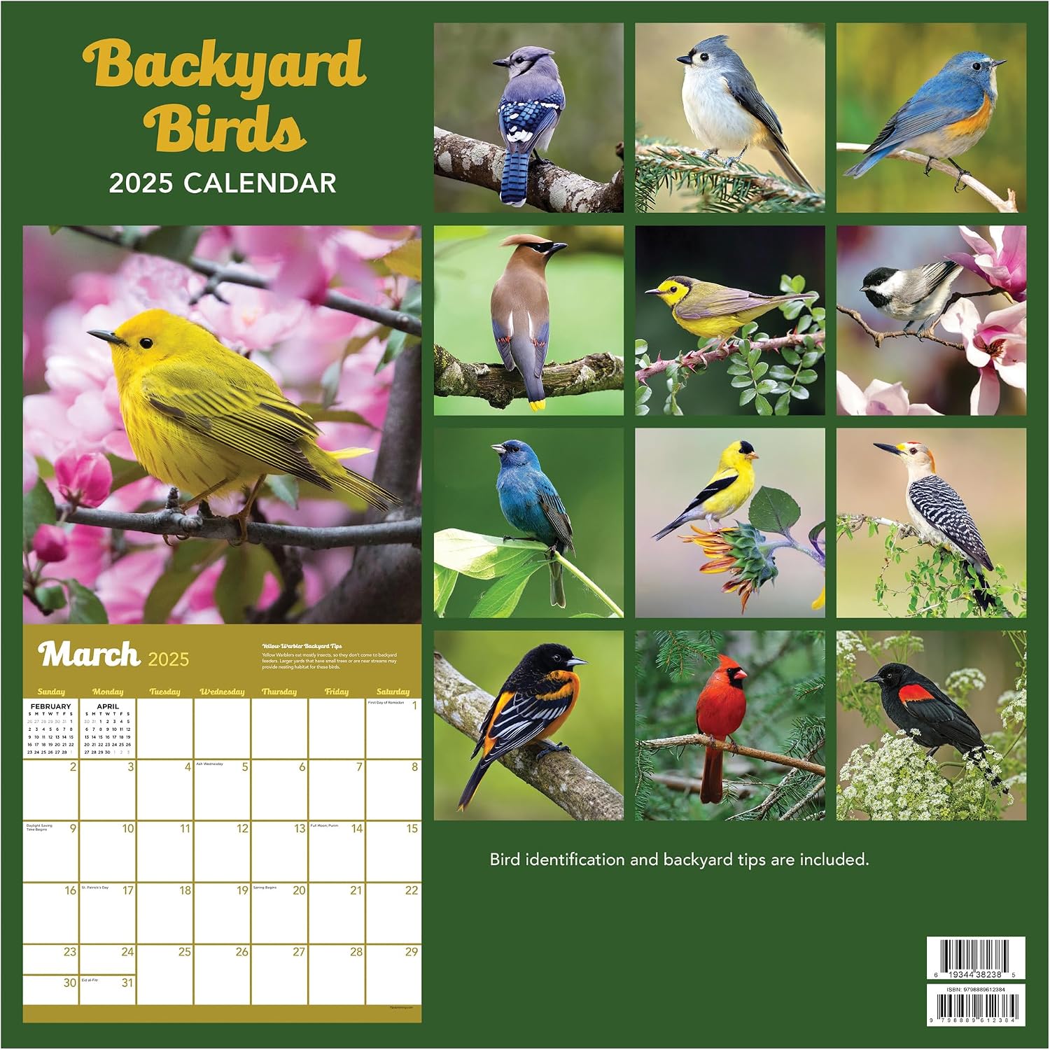 TF PUBLISHING 2025 Backyard Birds Wall Calendar Case Philippines | Ubuy