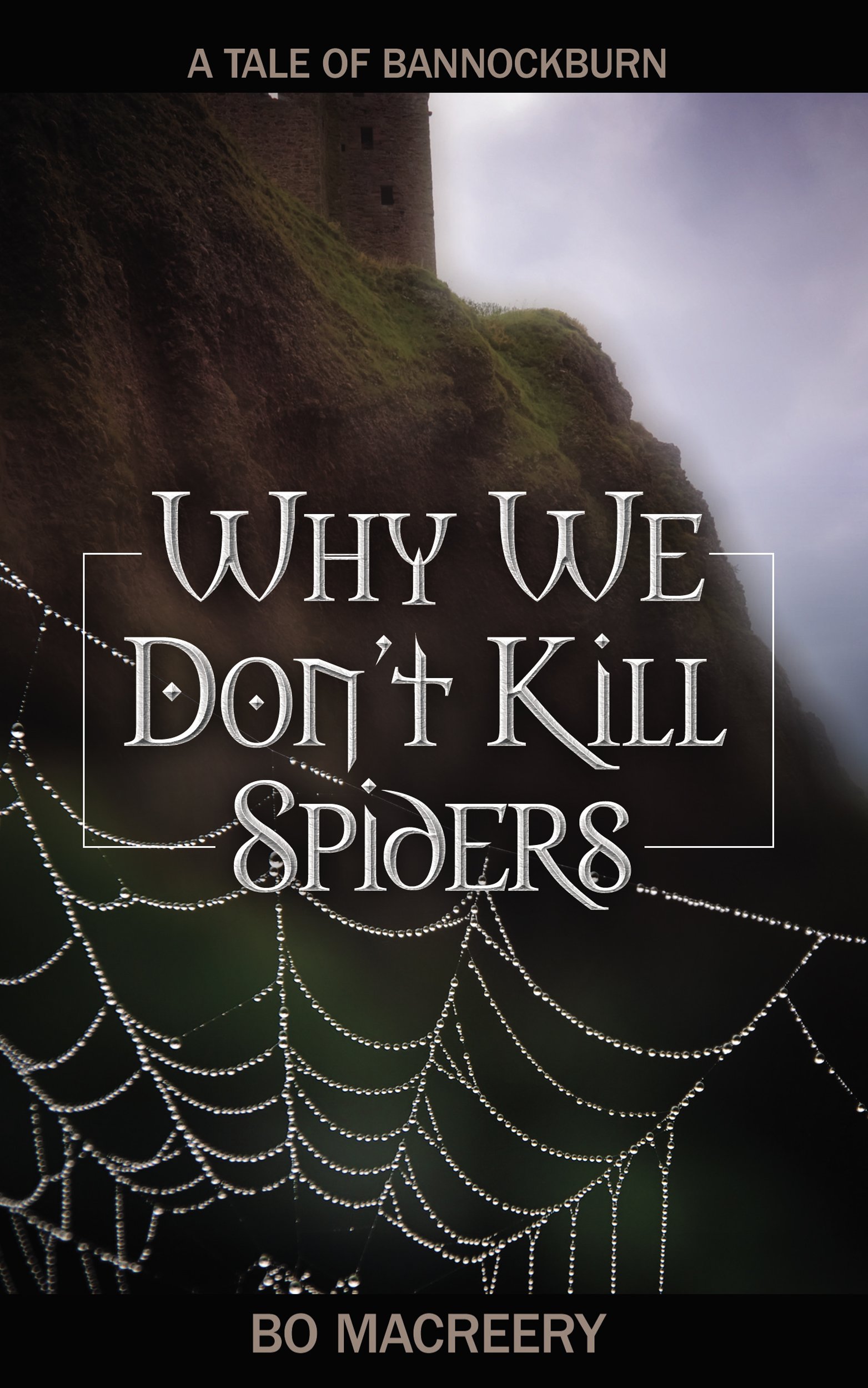 Book review of Why We Don't Kill Spiders - Readers' Favorite: Book ...