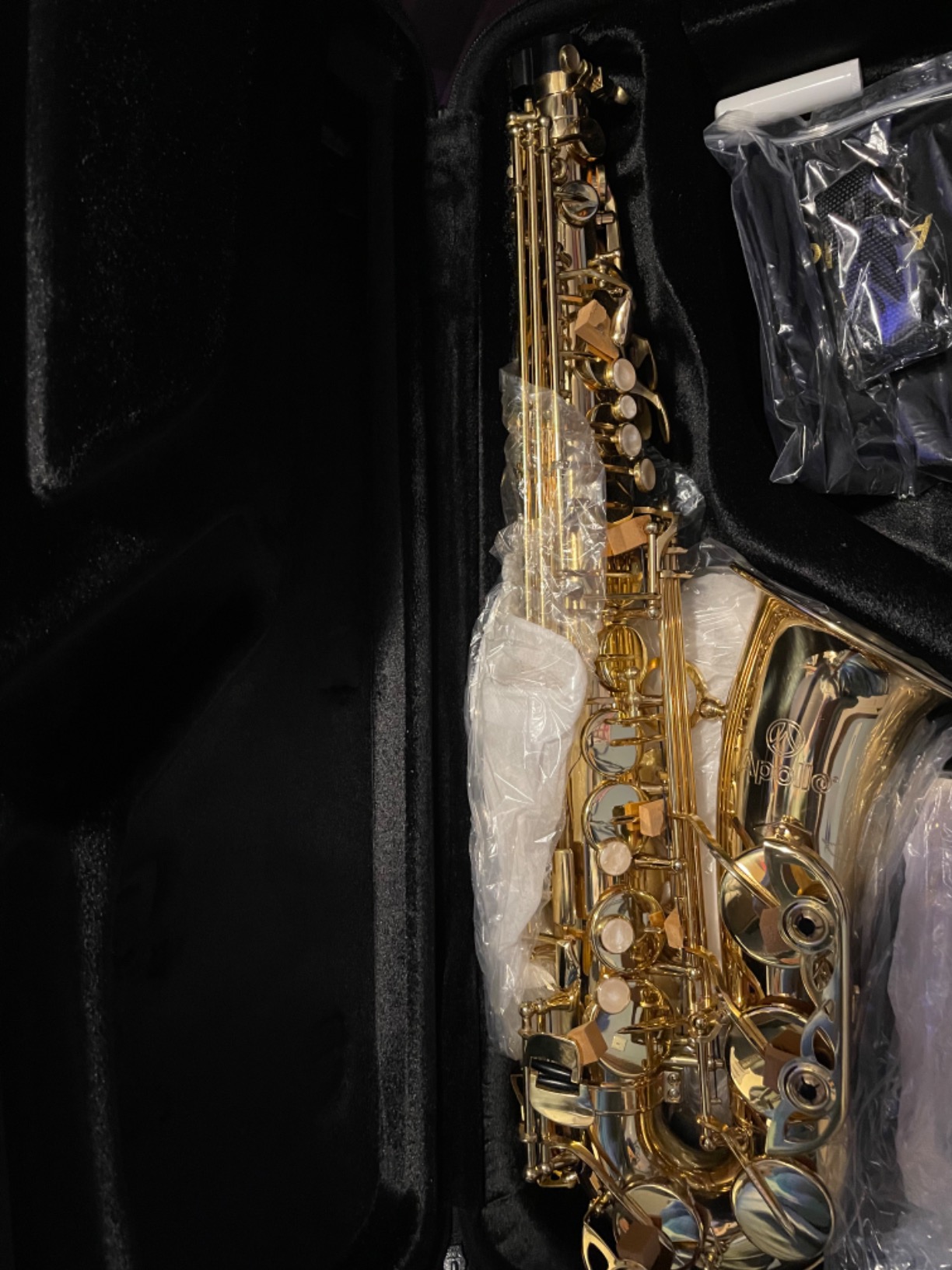 $19/mo - Finance Apollo Alto Saxophone in gold lacquer with leather ...
