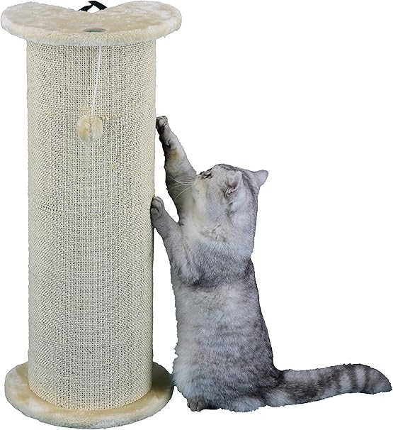 Amazon.com : Go Pet Club 29" Tall Cat Scratching Post : Cat Trees : Pet ...