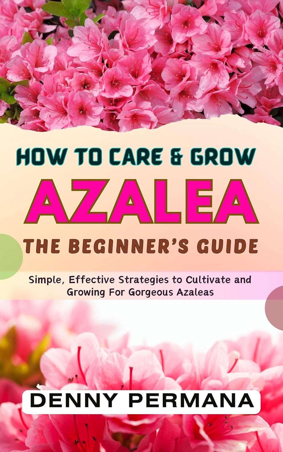 Azalea Care for Beginners: How to Grow, Care for, and Enjoy Beautiful ...
