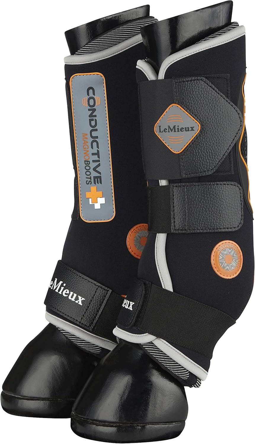 Amazon.com: LeMieux Magno Horse Boots - Magnetic Therapy Conductive ...