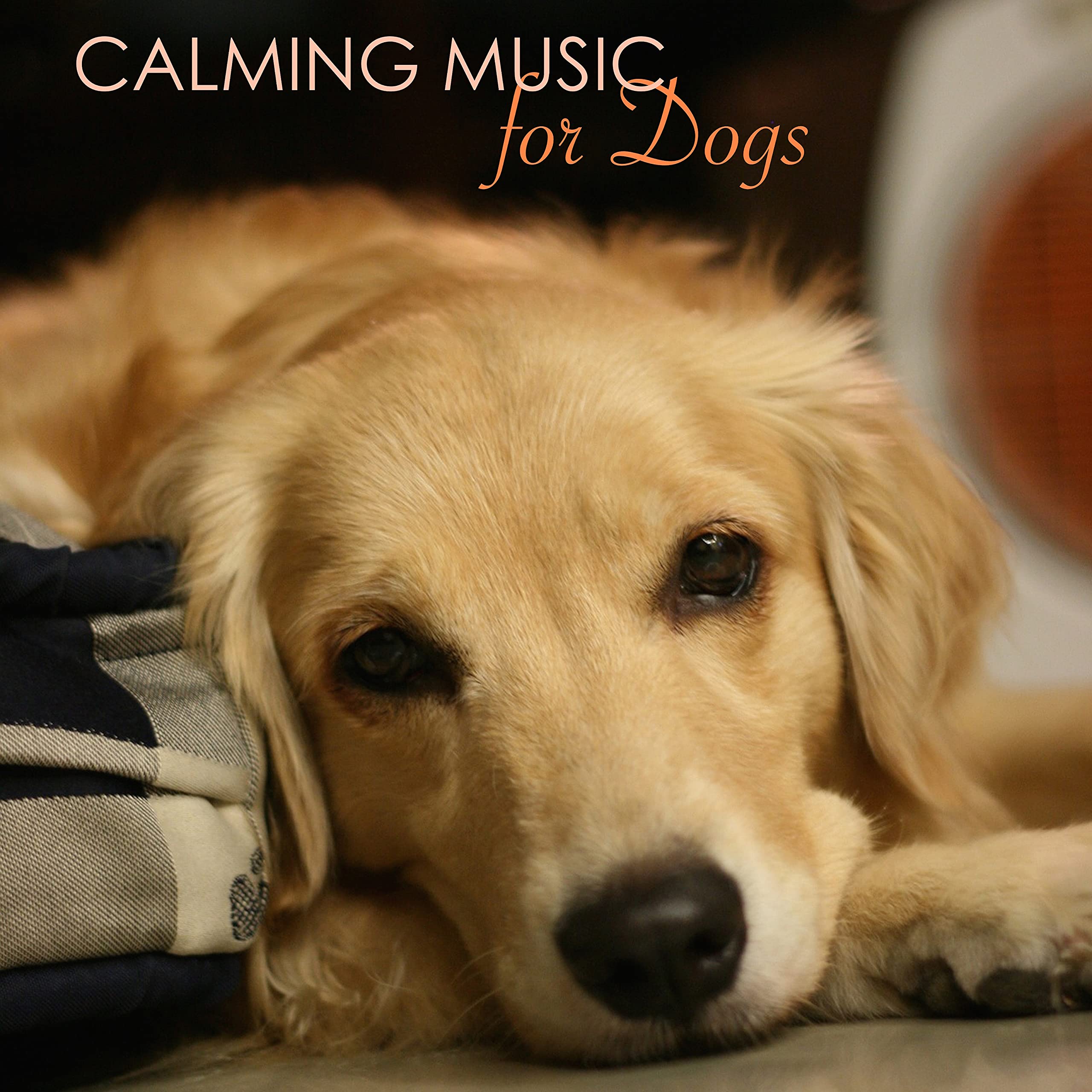Pets' Relaxation in Ocean's Gentle Waves song by Pet Music World, Ocean ...
