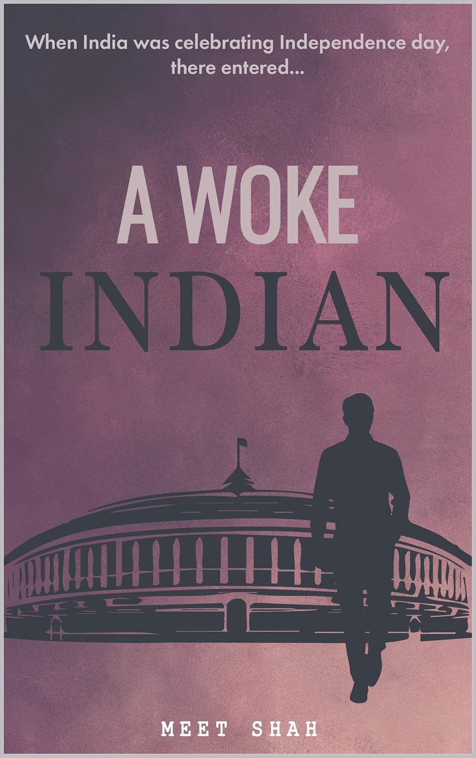 Amazon.com: A Woke Indian eBook : Shah, Meet : Books
