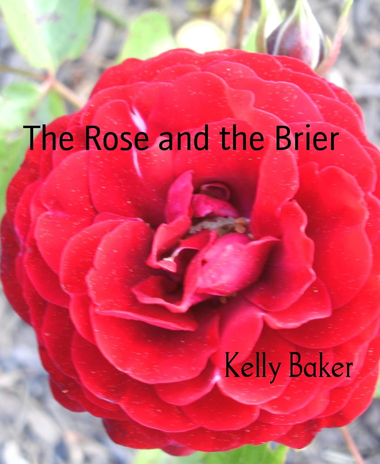 Amazon.co.jp: The Rose and the Brier (English Edition) 電子書籍: Peterson ...