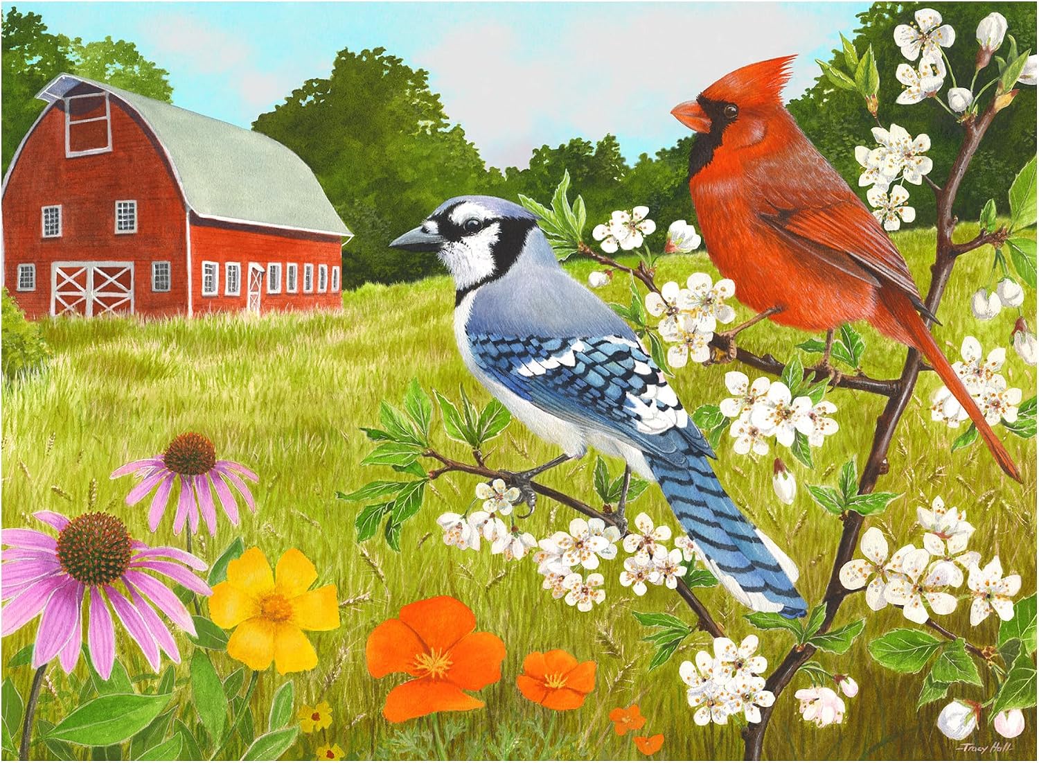 Relish - Dementie Legpuzzels voor volwassenen - 13-delige zomervogels ...
