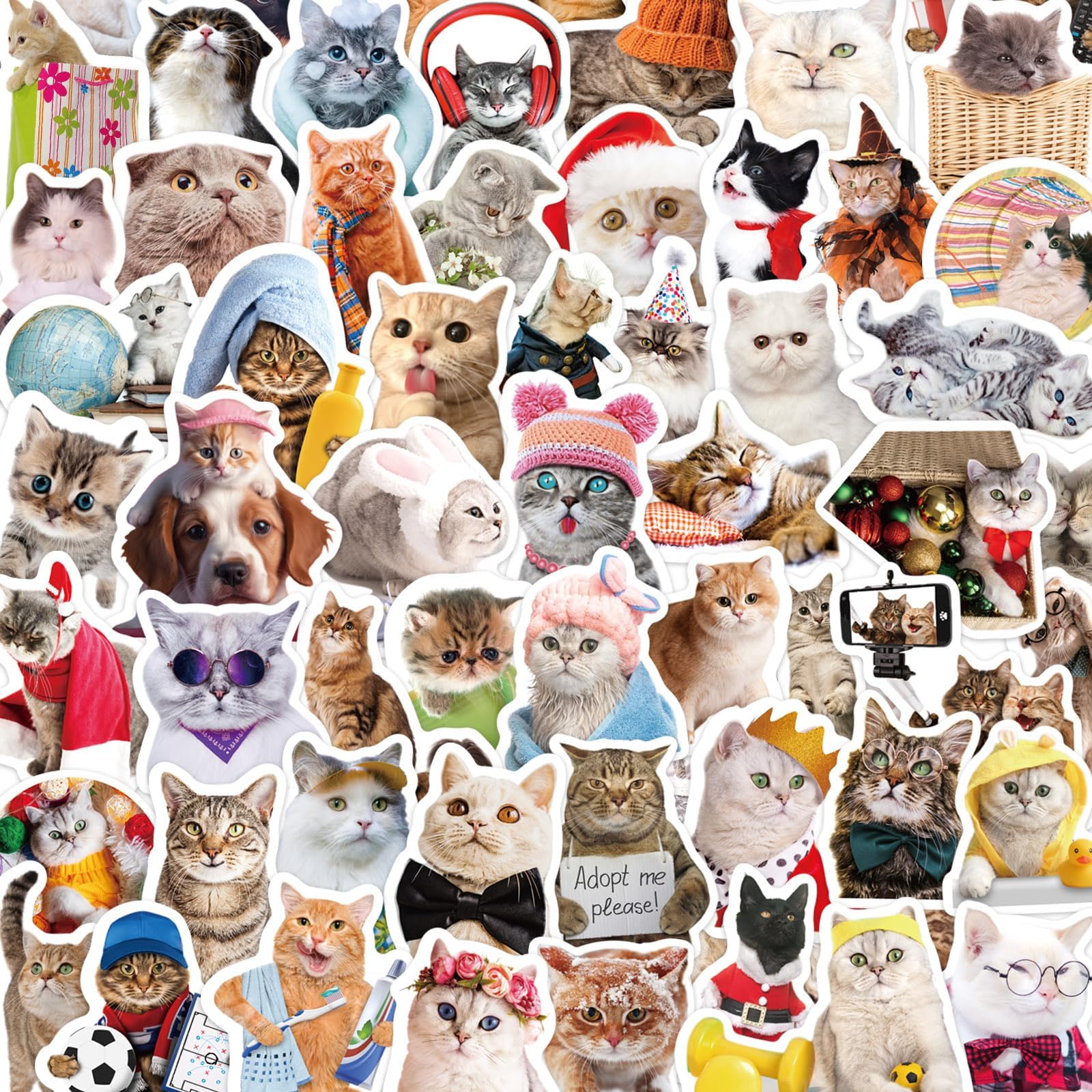 Amazon.com: 50 Pcs Dandy's World Stickers, Cute Dandy's Stickers for ...
