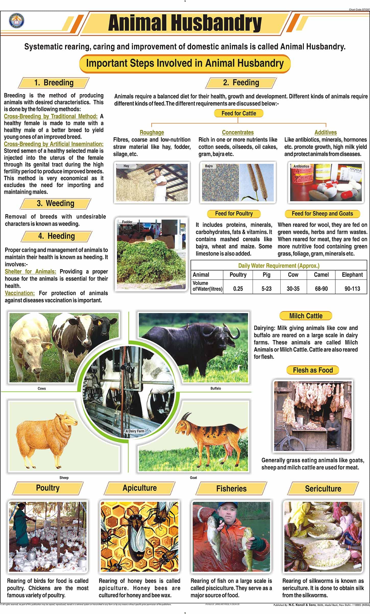 Buy STG07 | TeachingNest | Animal Husbandry Chart (58x90 cm) | English ...