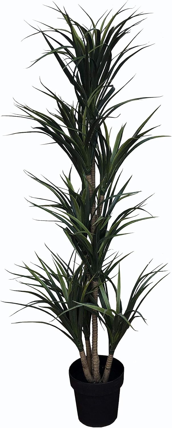 Amazon.com: AMERIQUE Gorgeous & Unique 5 Feet Multi-Head Agave Yucca ...