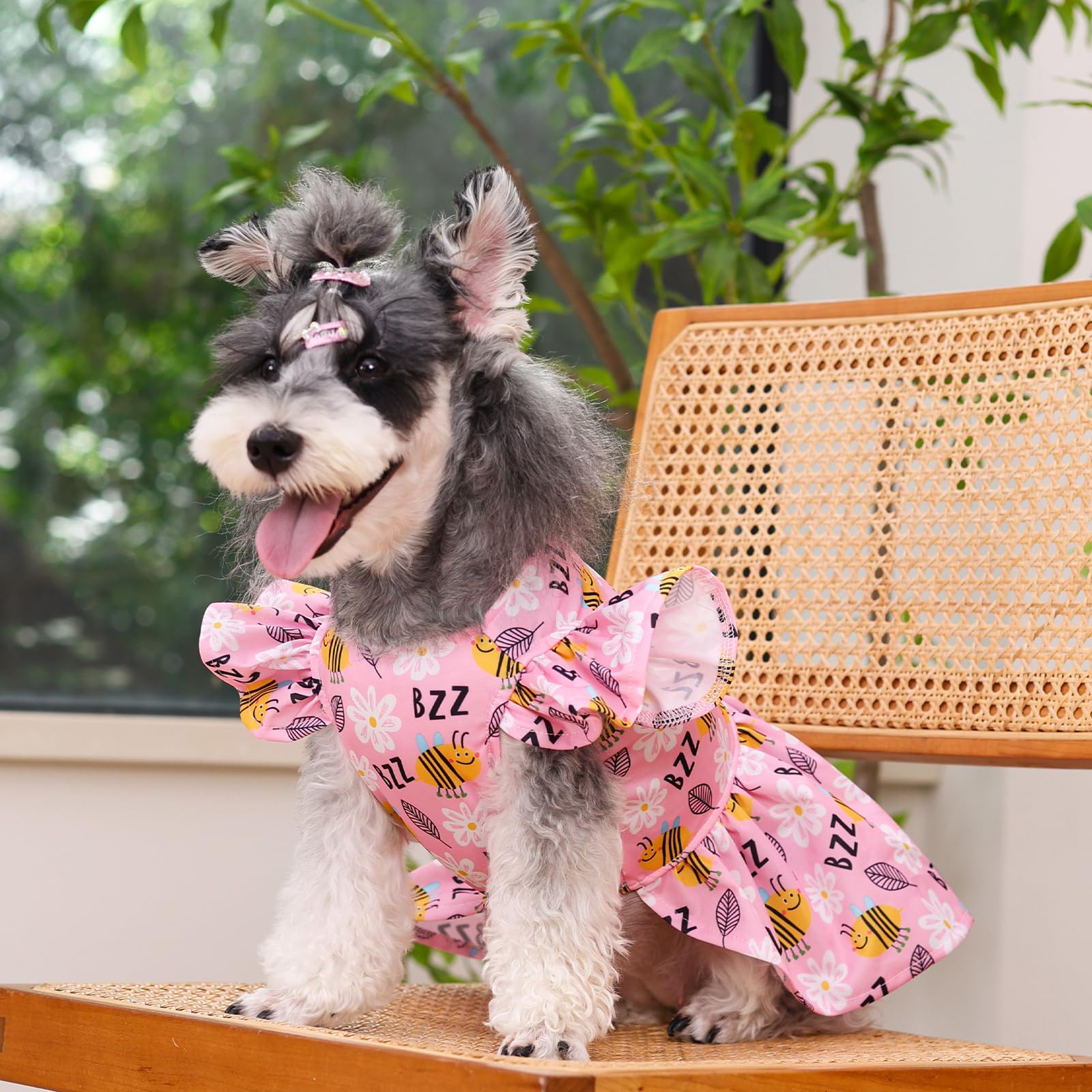 Snapklik.com : CuteBone Frilly Dog Dress Princess Puppy Birthday Dresses