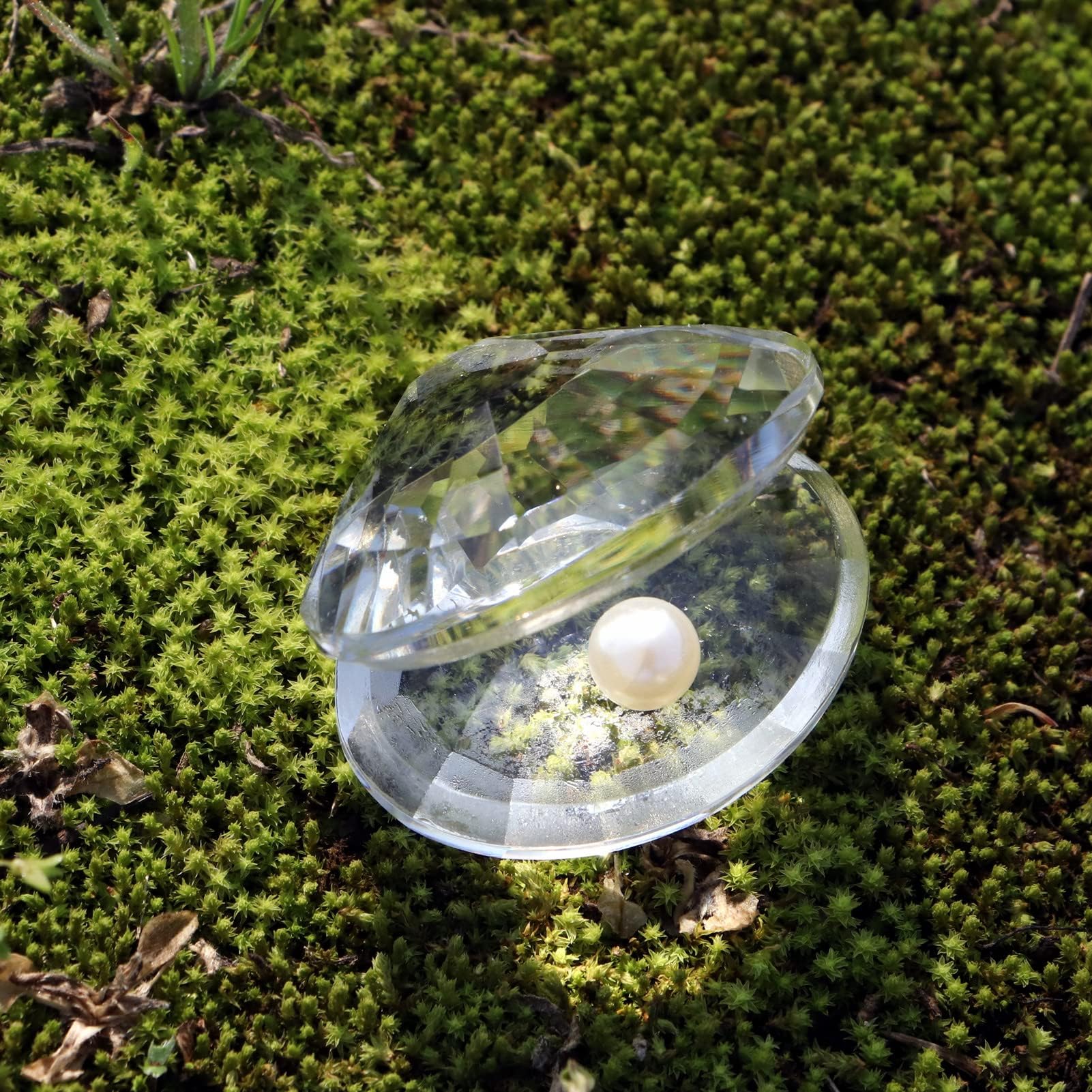 Amazon.com: HL Trade Crystal Glass Figurines Reflective Sea Shell ...