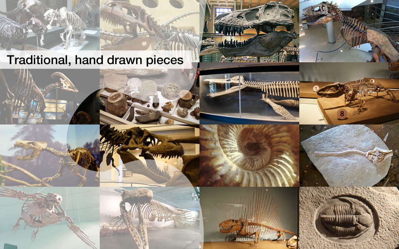 Dinosaur Fossil Jigsaw Puzzles:Amazon.com:Appstore for Android