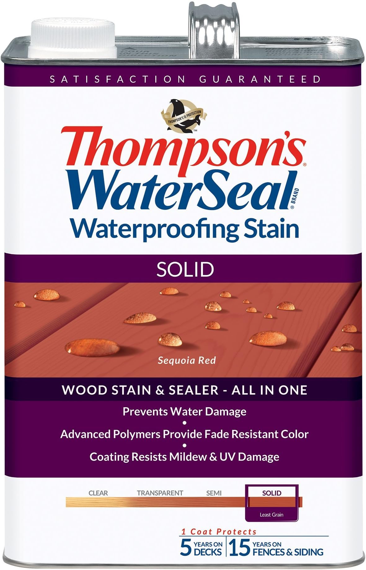 Thompson’s WaterSeal Transparent Waterproofing Wood Stain and Sealer ...