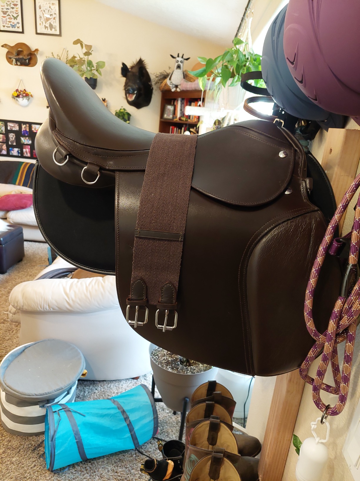 $50/mo - Finance New Brown All Purpose English Riding Horse Saddle ...