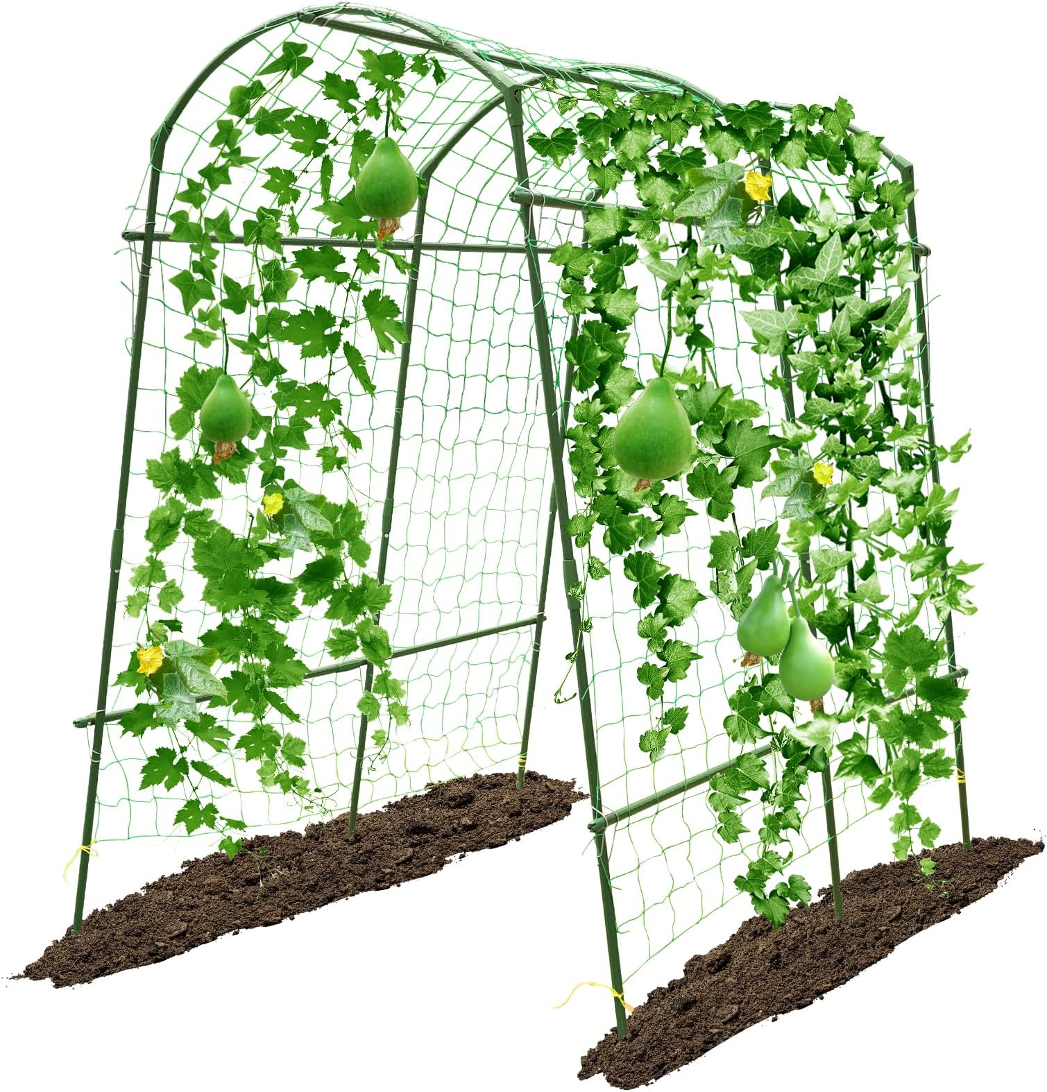 Amazon.com : Garden Arch Trellis Cucumber Trellis 80inch Height Large ...