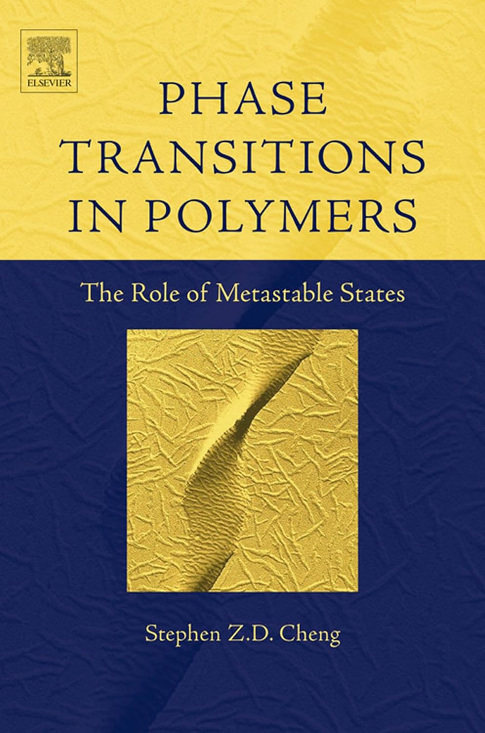 Phase Transitions in Polymers: The Role of Metastable States, Cheng ...