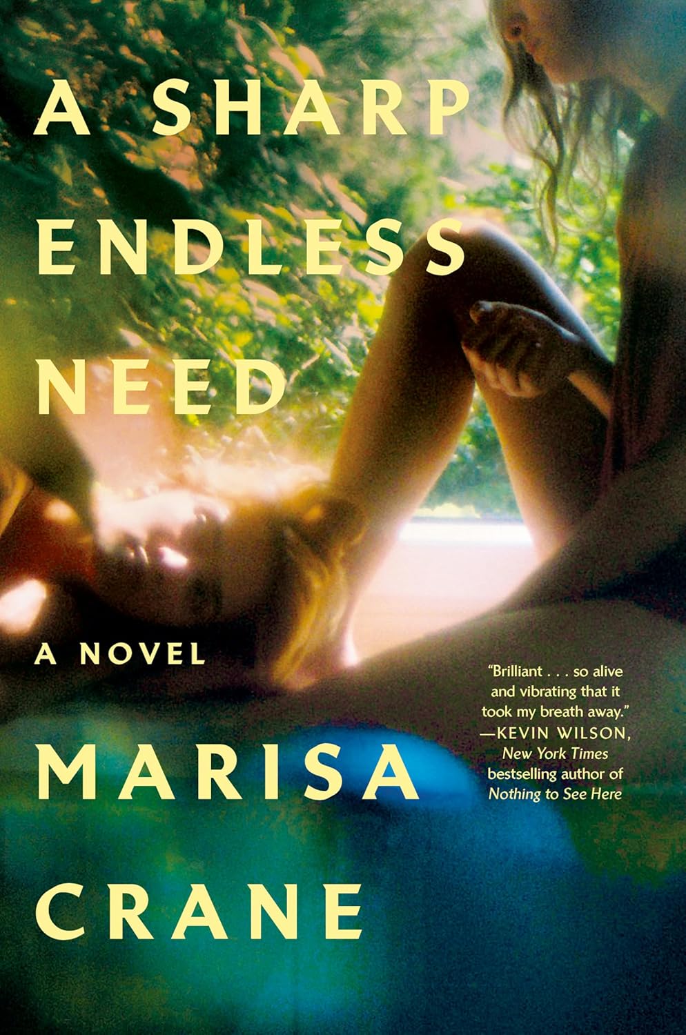 Amazon.com: A Sharp Endless Need: A Novel: 9780593733646: Crane, Marisa ...