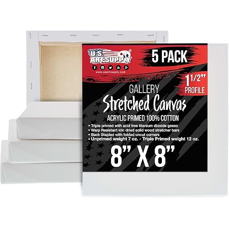 Amazon.com: SL crafts Artist Stretched Canvas 8"x8" Professional ...