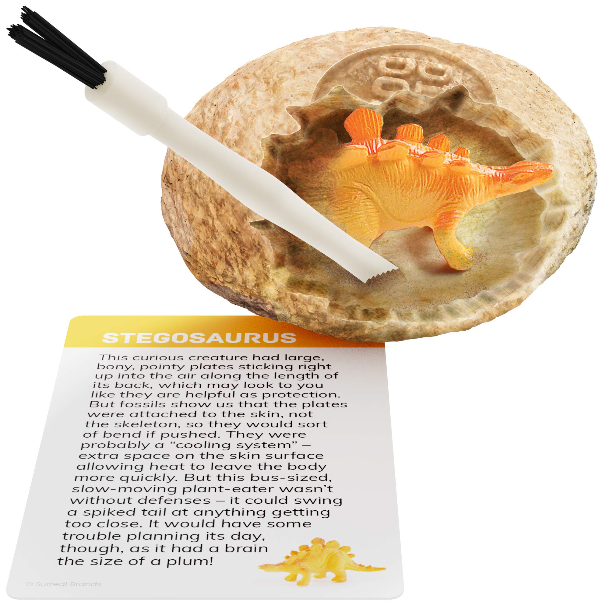 Board Games Dinosaur Egg Dig Kit - 12 Fossil Eggs With STEM Learning ...