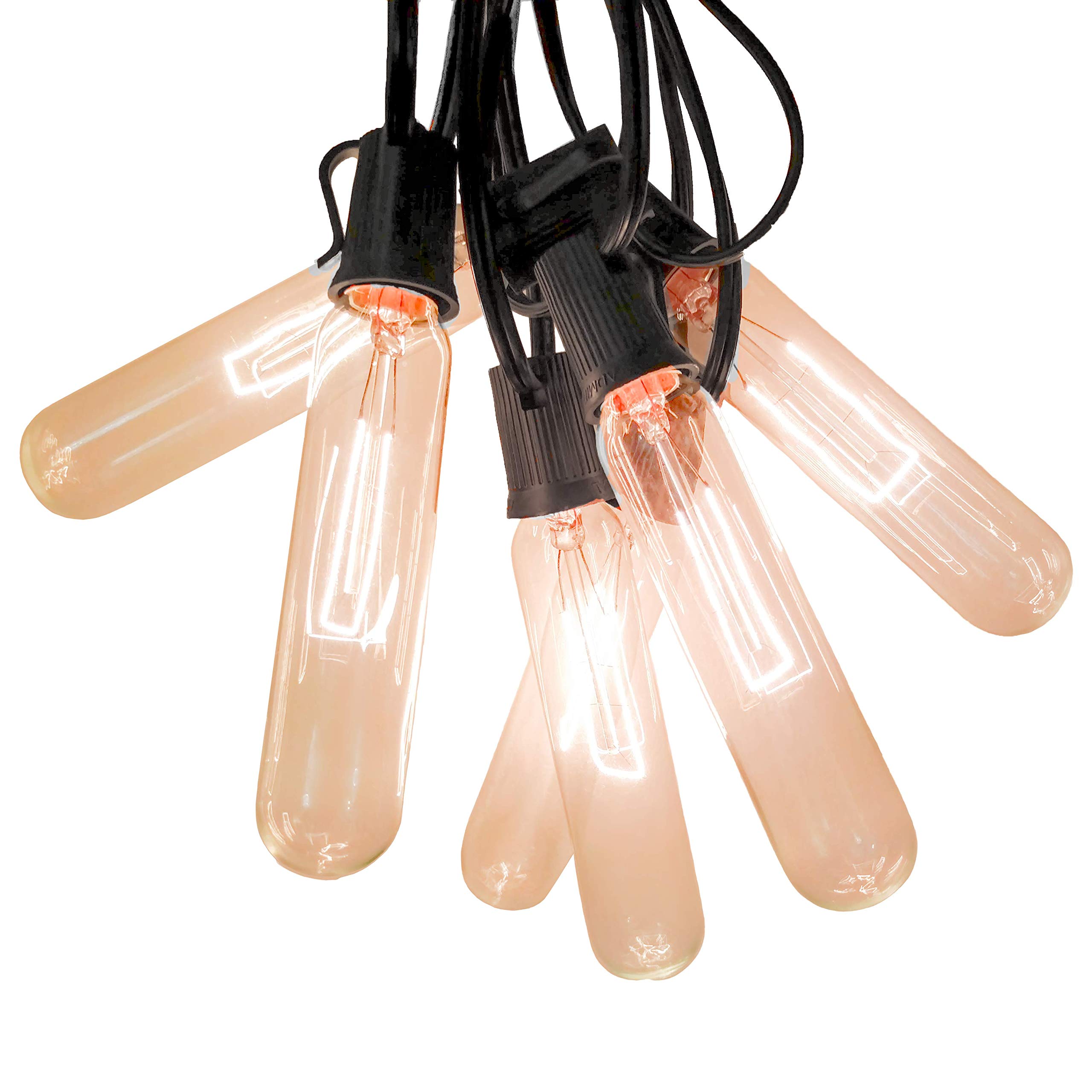 Hometown Evolution, Inc. Edison Bulb Outdoor String Lights with Hand ...