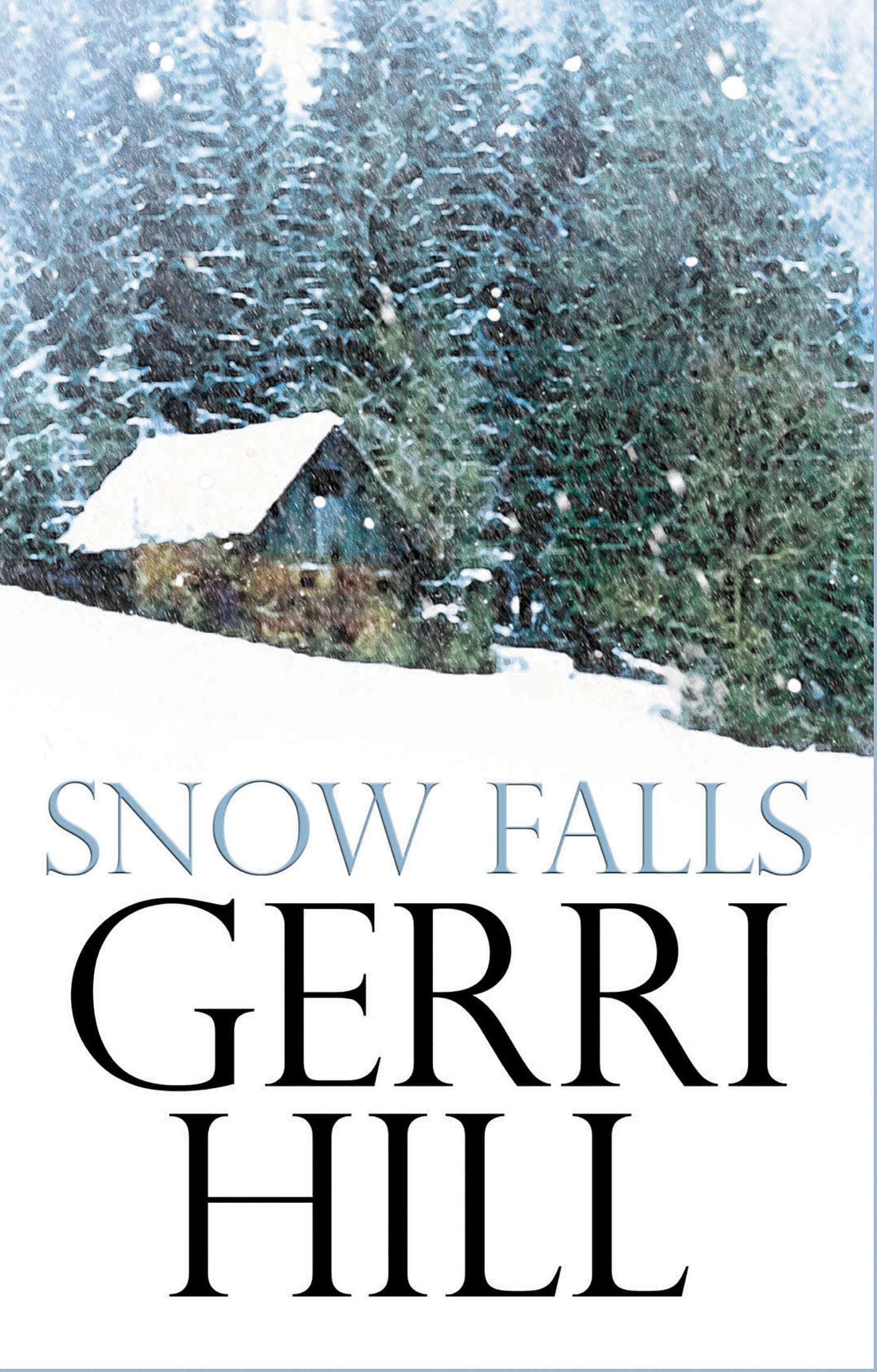 Snow Falls: Hill, Gerri: 9781594933165: Amazon.com: Books