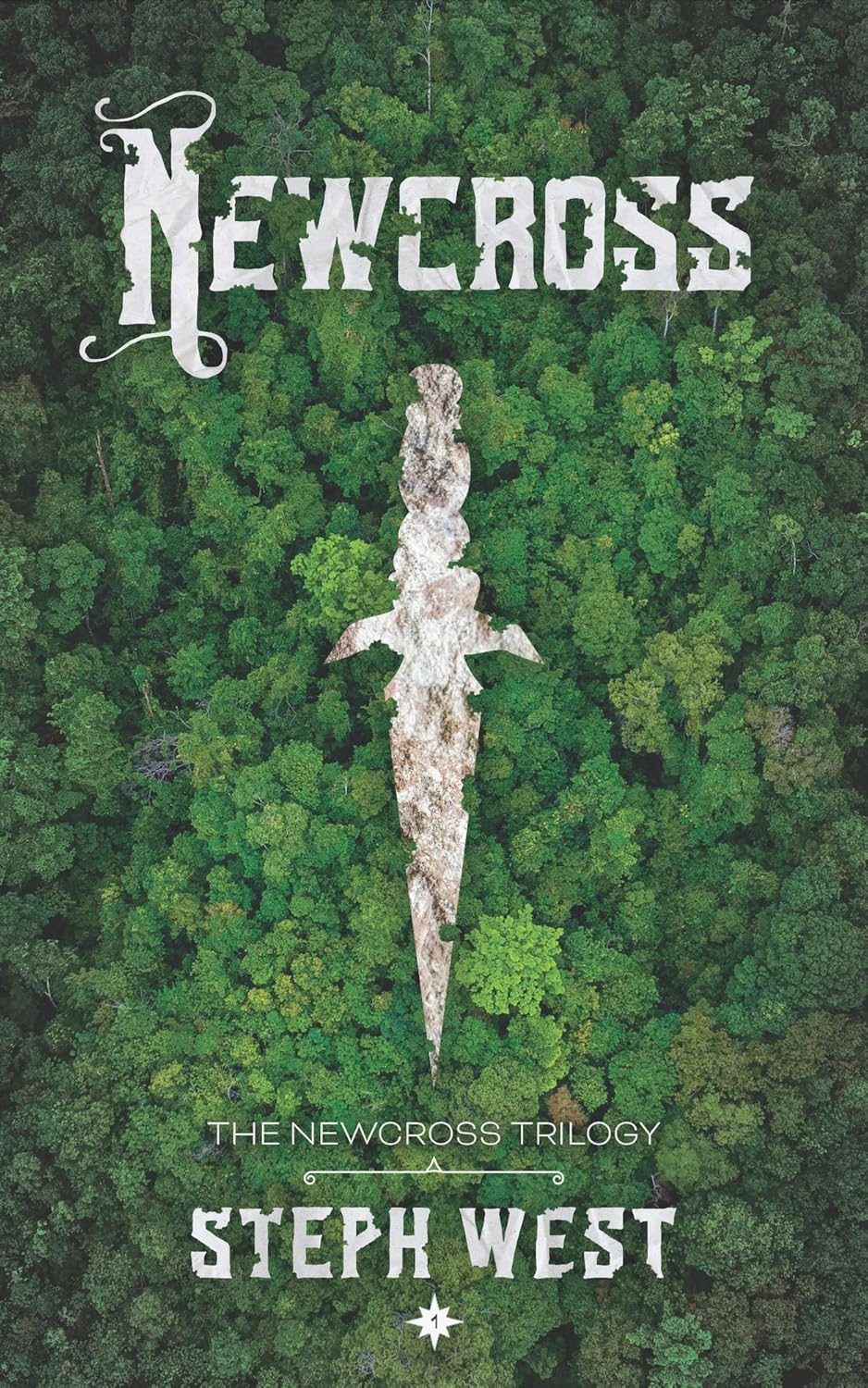 Amazon.com: Newcross (The Newcross Trilogy Book 1) eBook : West, Steph ...