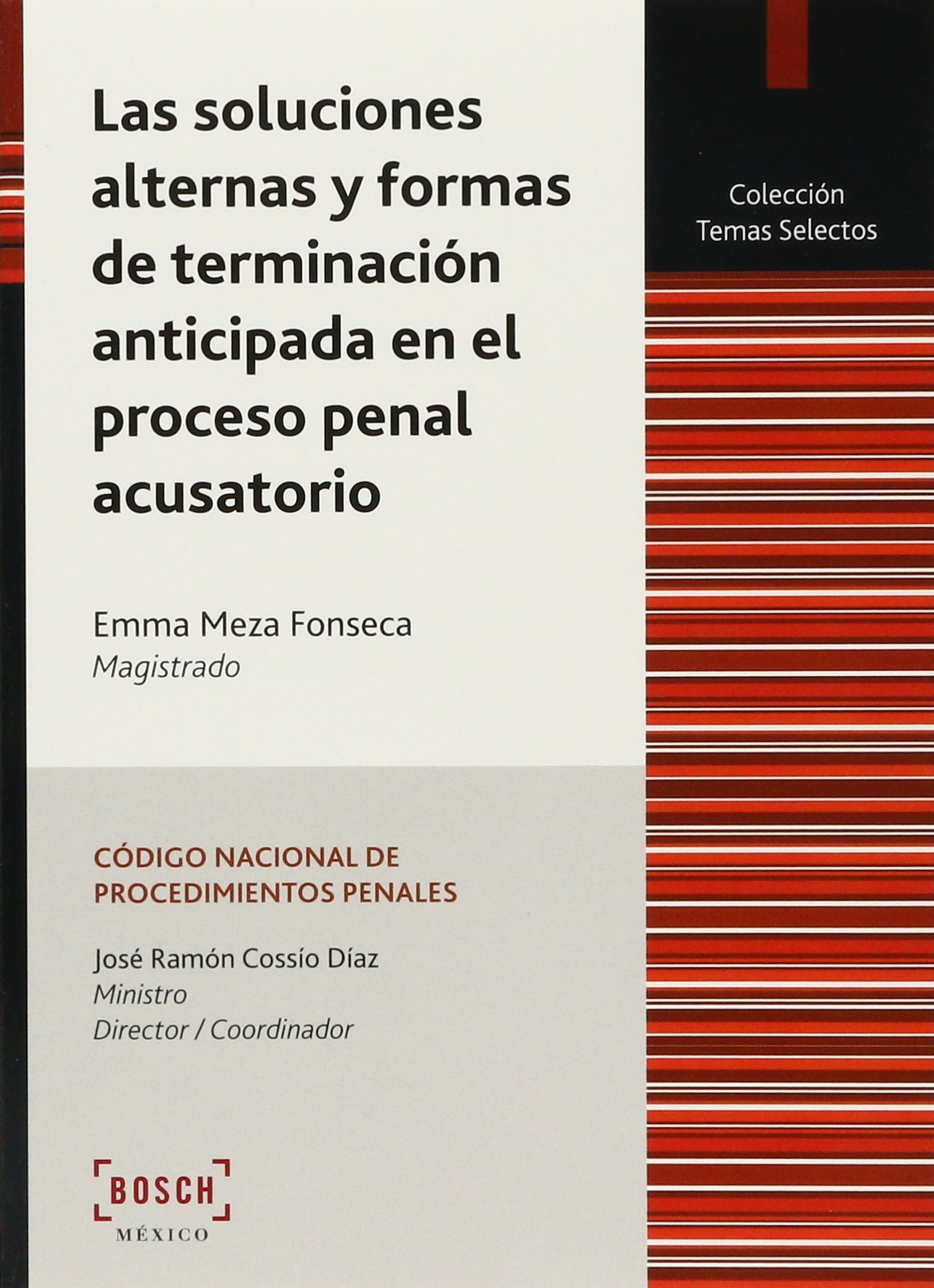 Buy Las soluciones alternas y formas de terminación anticipada en el ...