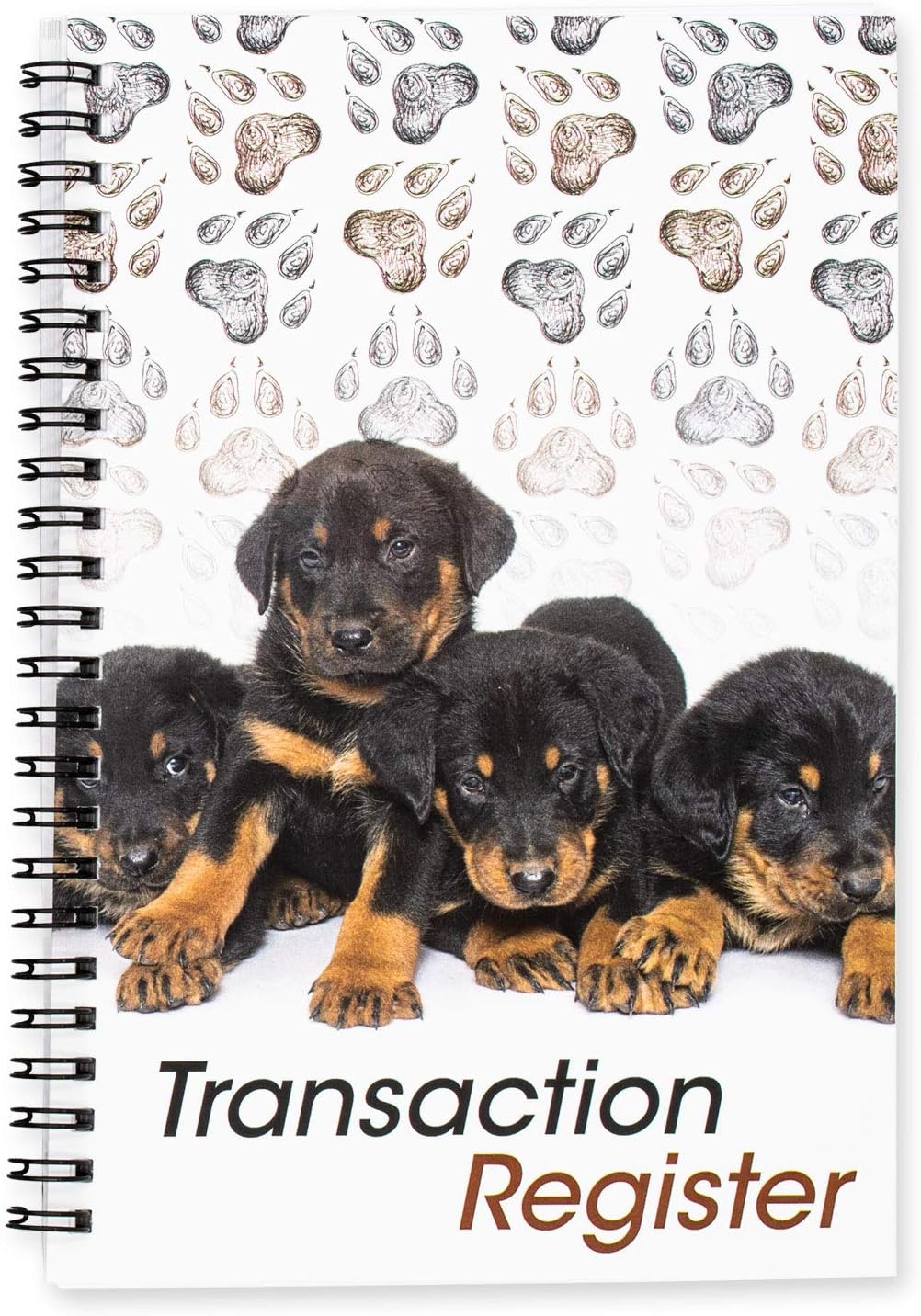 Amazon.com : Savings Transaction Record Register (10 Registers ...