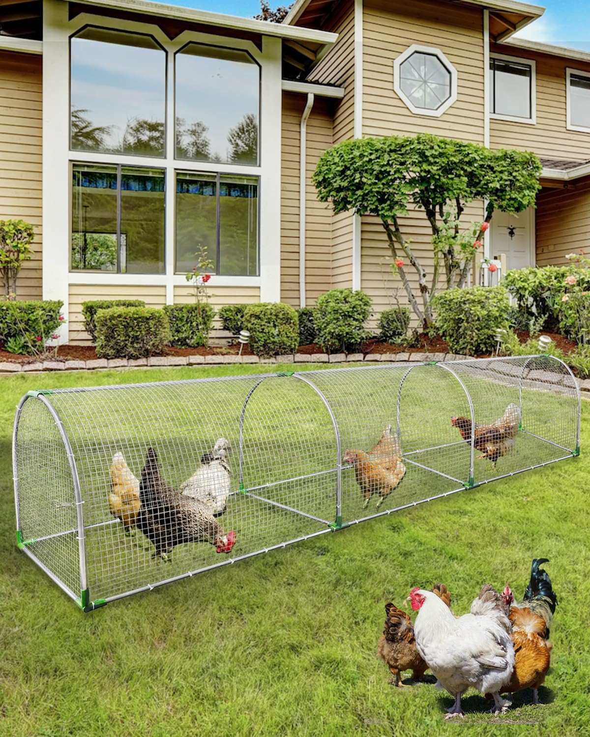 Amazon.com: Chicken Tunnels for Yard, Chicken Coop Run for Outside ...