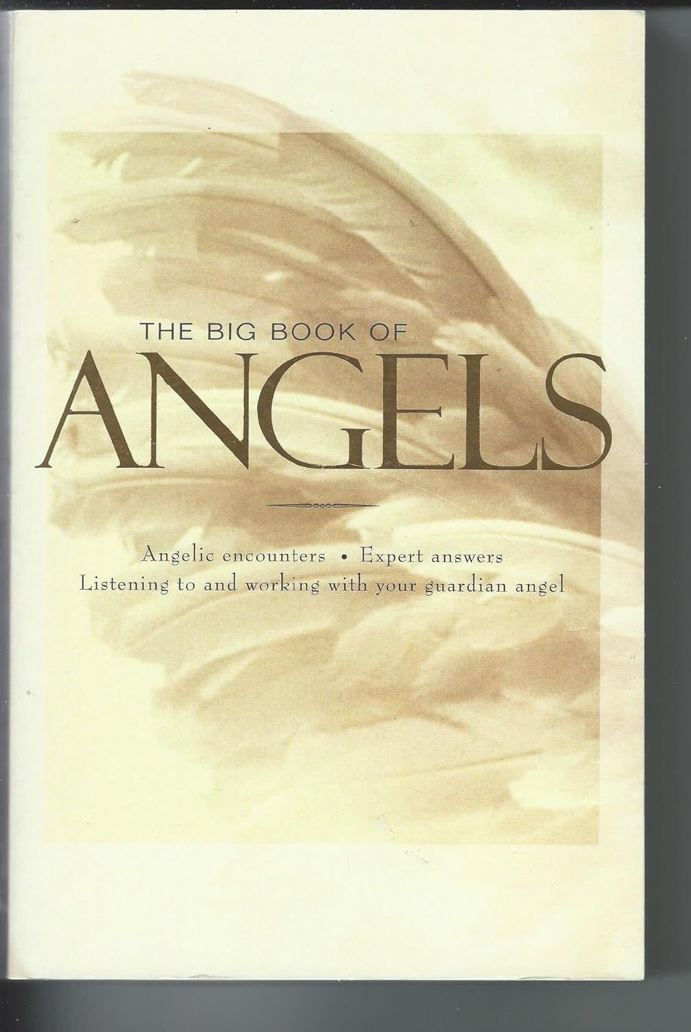 The Big Book Of Angels - Angelic Encounters, Expert Answers, Listening ...