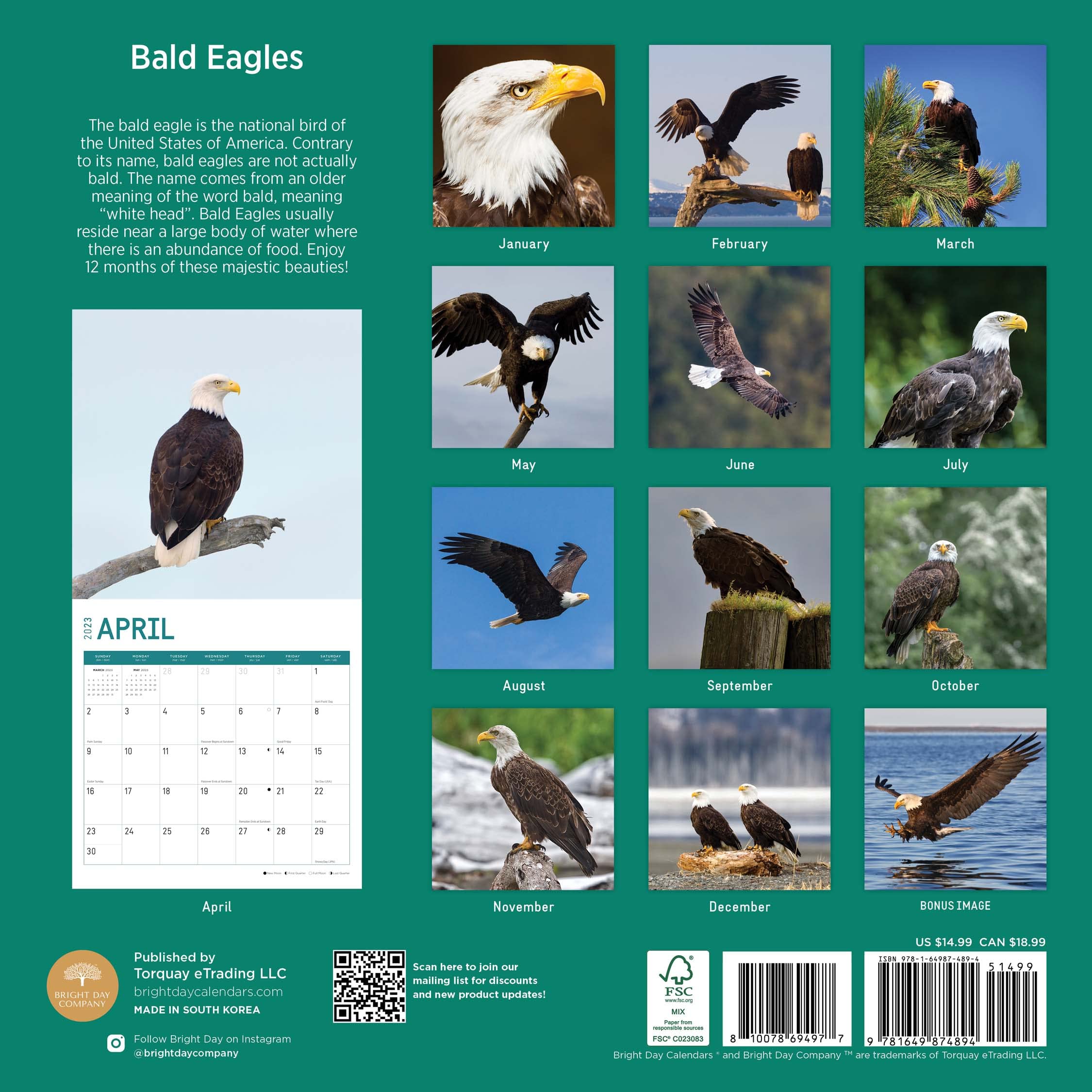 American Bald Eagle Calendar Hooray! The 2022 Calendar Is Available!!!