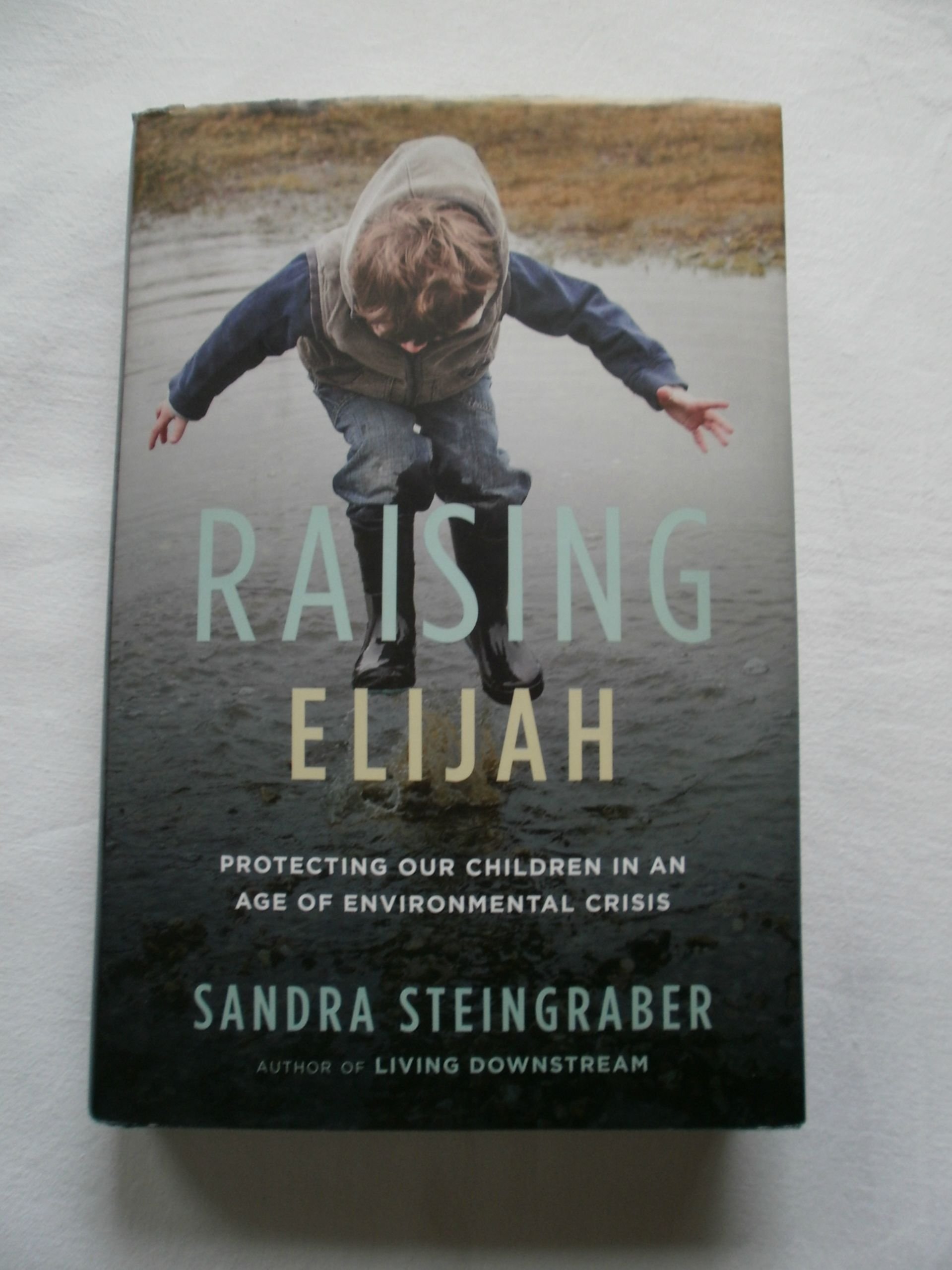 Raising Elijah: Protecting Our Children in an Age of Environmental ...