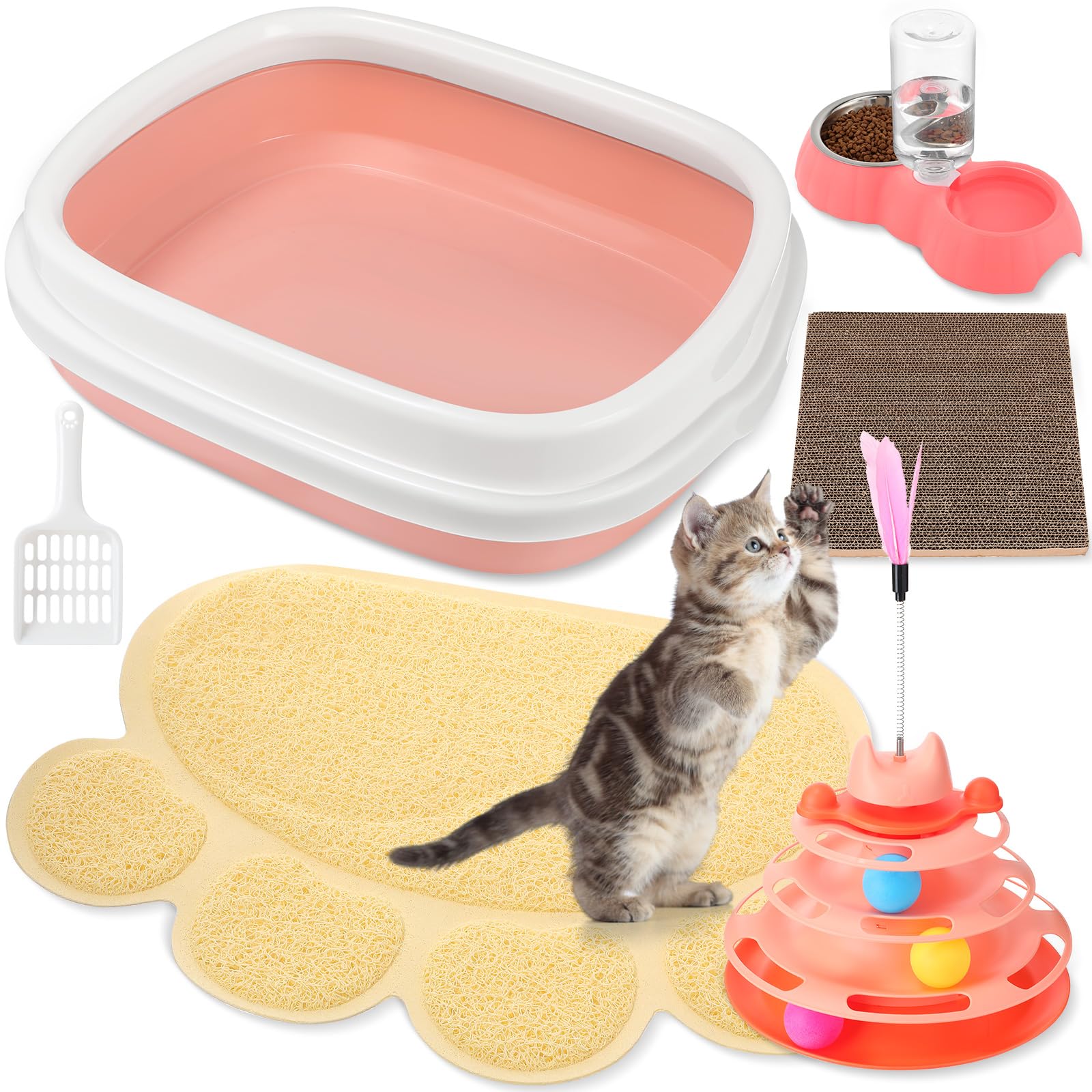 Amazon.com: Tiangrid 5 Pcs Small Cat Kitten Starter Kit Include Cat ...