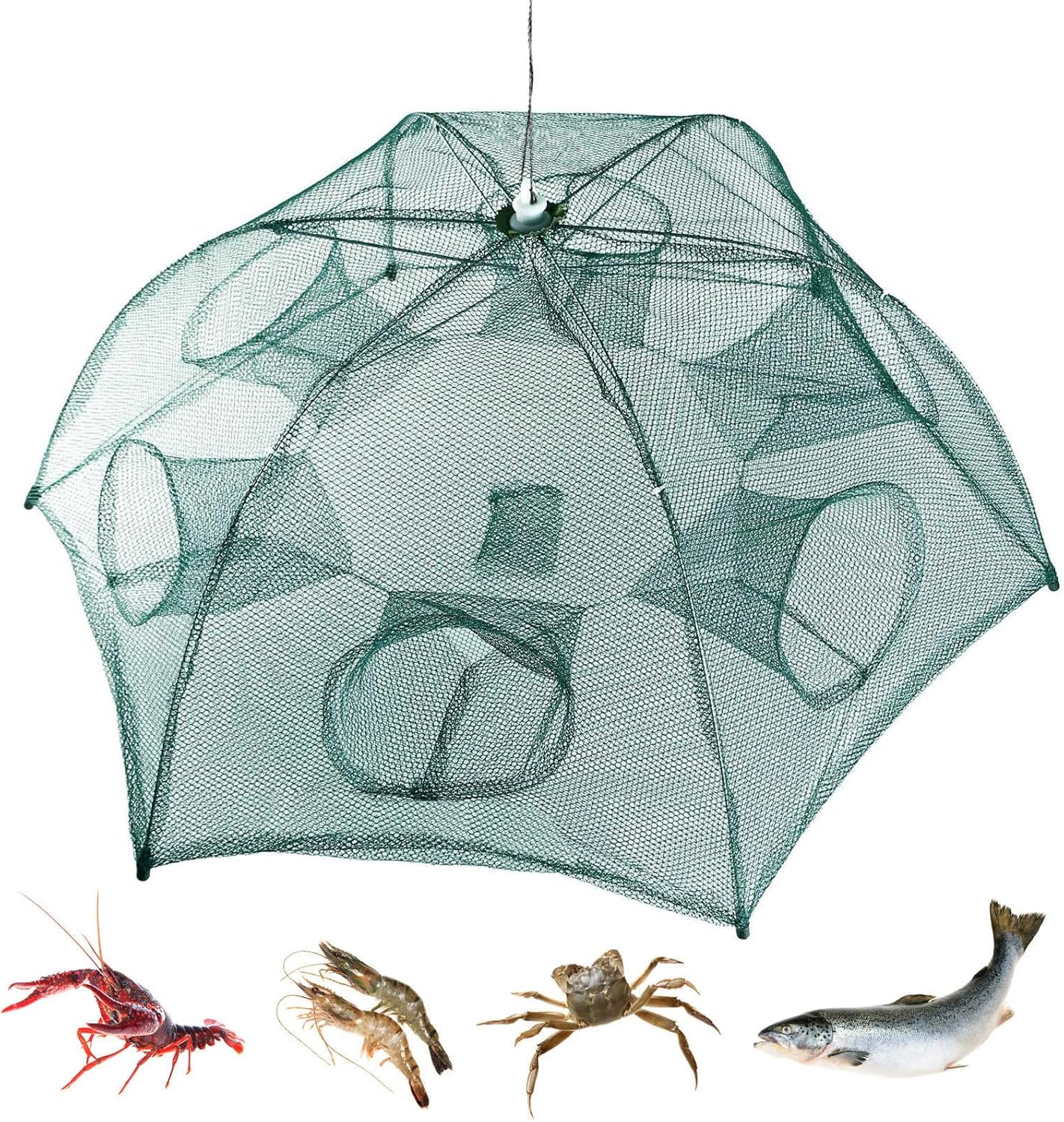 Amazon.com : TeqHome Fishing Trap Net, Foldable 6-Sided 6-Hole Bait Trap, Automatic Collapsing ...