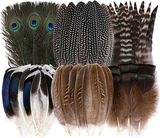 Amazon.com: Holmgren 48pcs Natural Feathers Bulk - 6 Styles Assorted ...