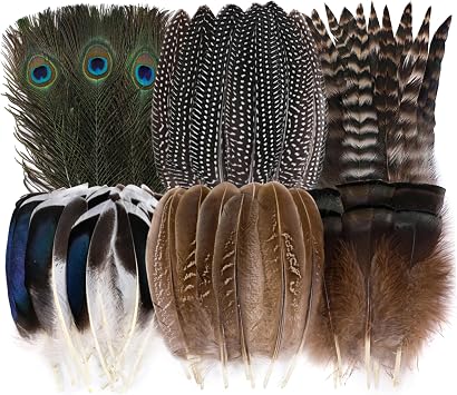 Amazon.com: Holmgren 48pcs Natural Feathers Bulk - 6 Styles Assorted ...