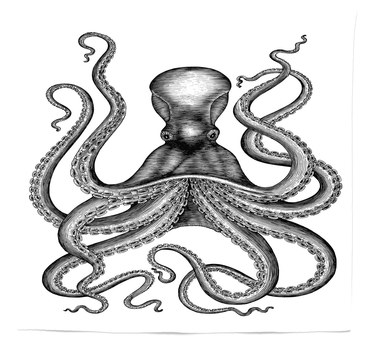 Evil Octopus Drawing Tattoo