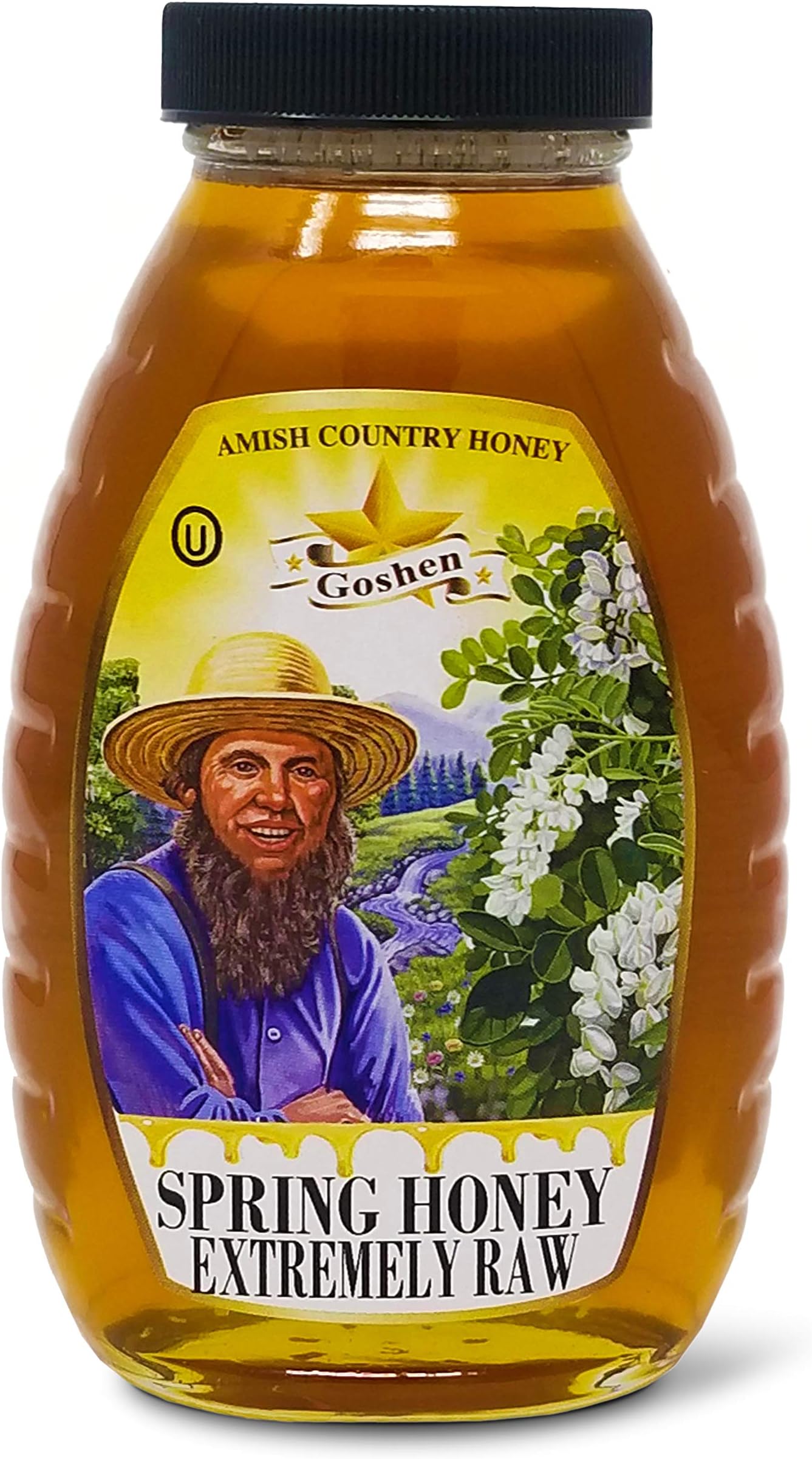 Amazon.com : 1 lb. 100% Raw & Unfiltered Gallberry Honey - USA Made by ...